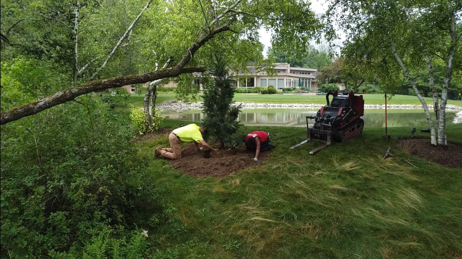 Gallery | Crawford Tree & Landscape Services, Inc.